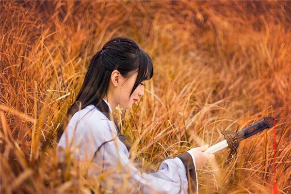 丁巳年五行屬什麼 - iFate