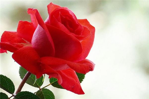 五行缺火怎麼補 - iFate