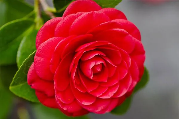 五行八字相生相剋具體分析 - iFate