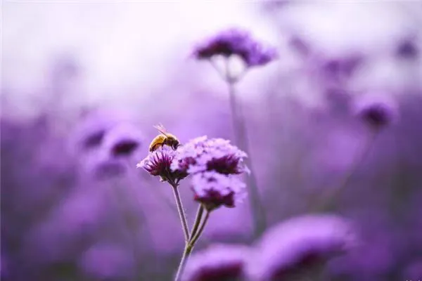 五行八字相生相剋具體分析 - iFate